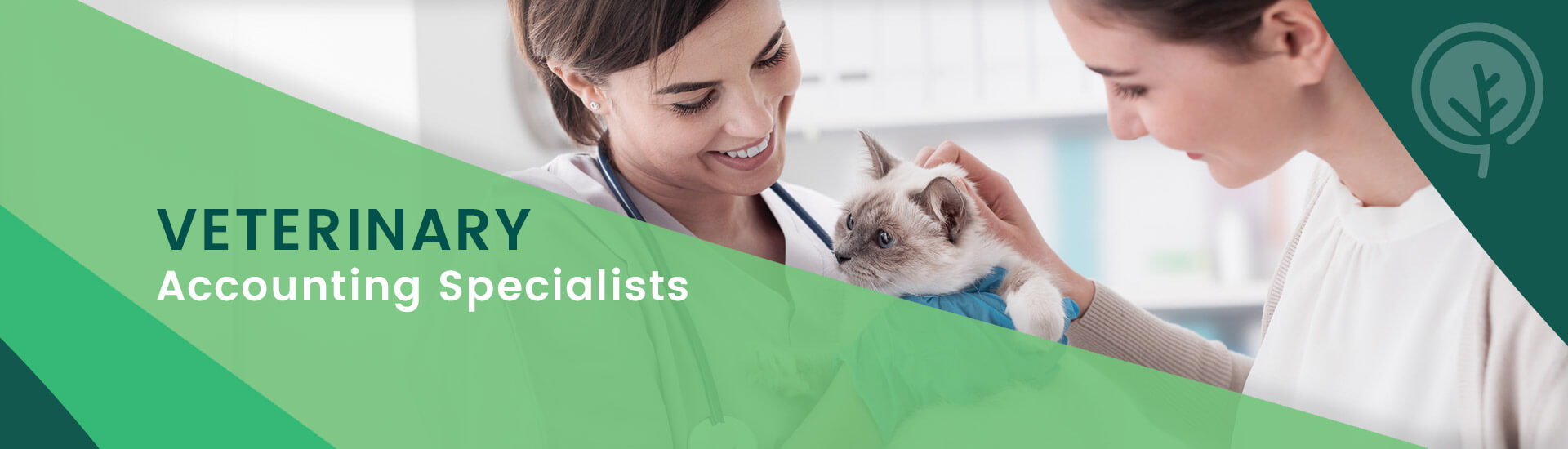 Veterinary CPAs Accountants | Pet Hospital | Colorado
