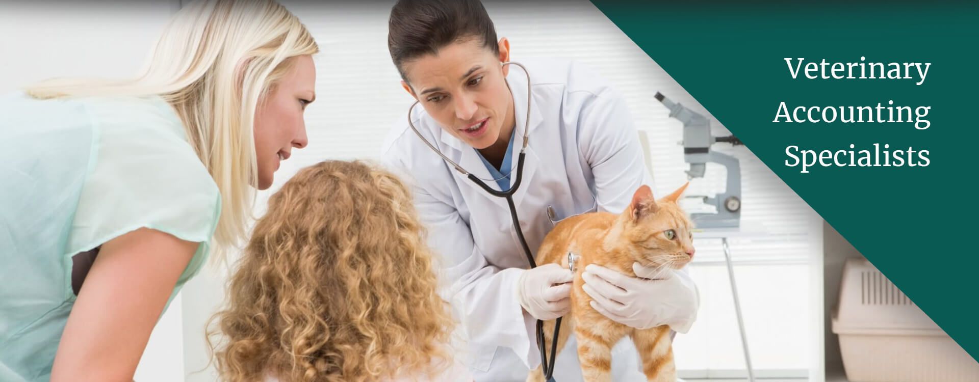 Veterinary CPAs Accountants | Pet Hospital | Colorado
